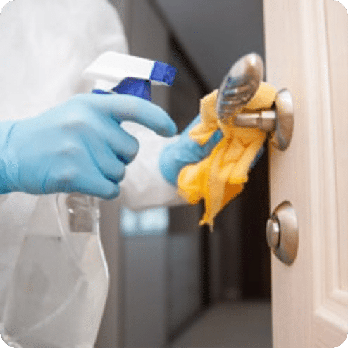 Cleaning Services | Elite Building Services