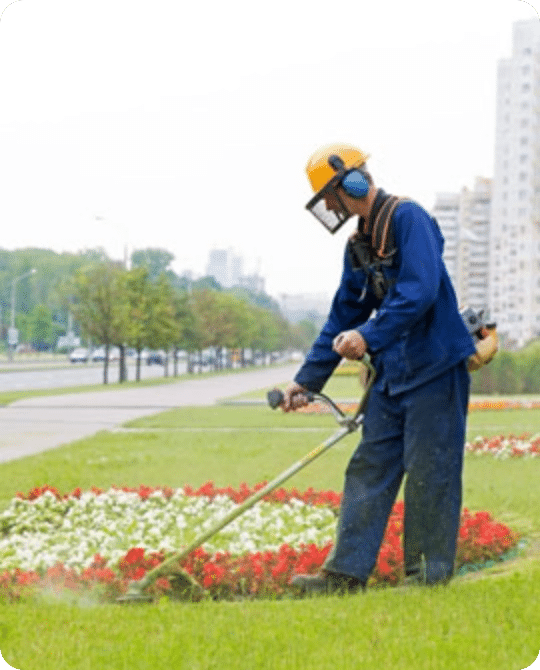 Who We Are | Elite Building Services